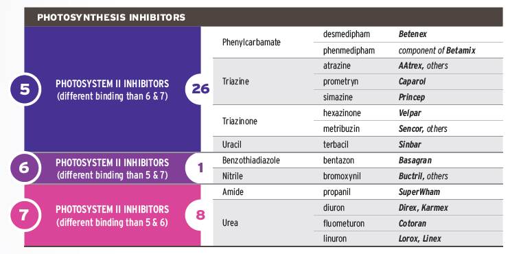 Photosynthesis Inhibitors – Wisconsin Crop Weed Science