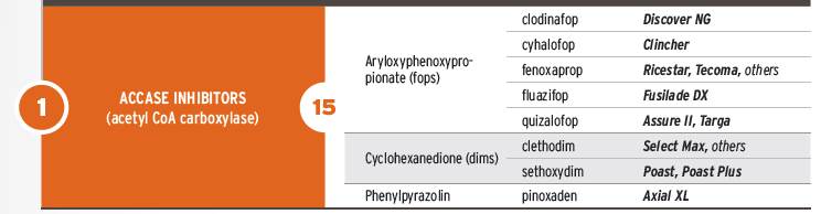 ACCase Inhibitors – Wisconsin Crop Weed Science